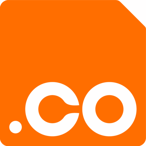 .COM vs .CO Domain Extension: Which One Should You Choose? - Domain ...