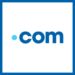 .COM vs .CO Domain Extension: Which One Should You Choose? - Domain ...